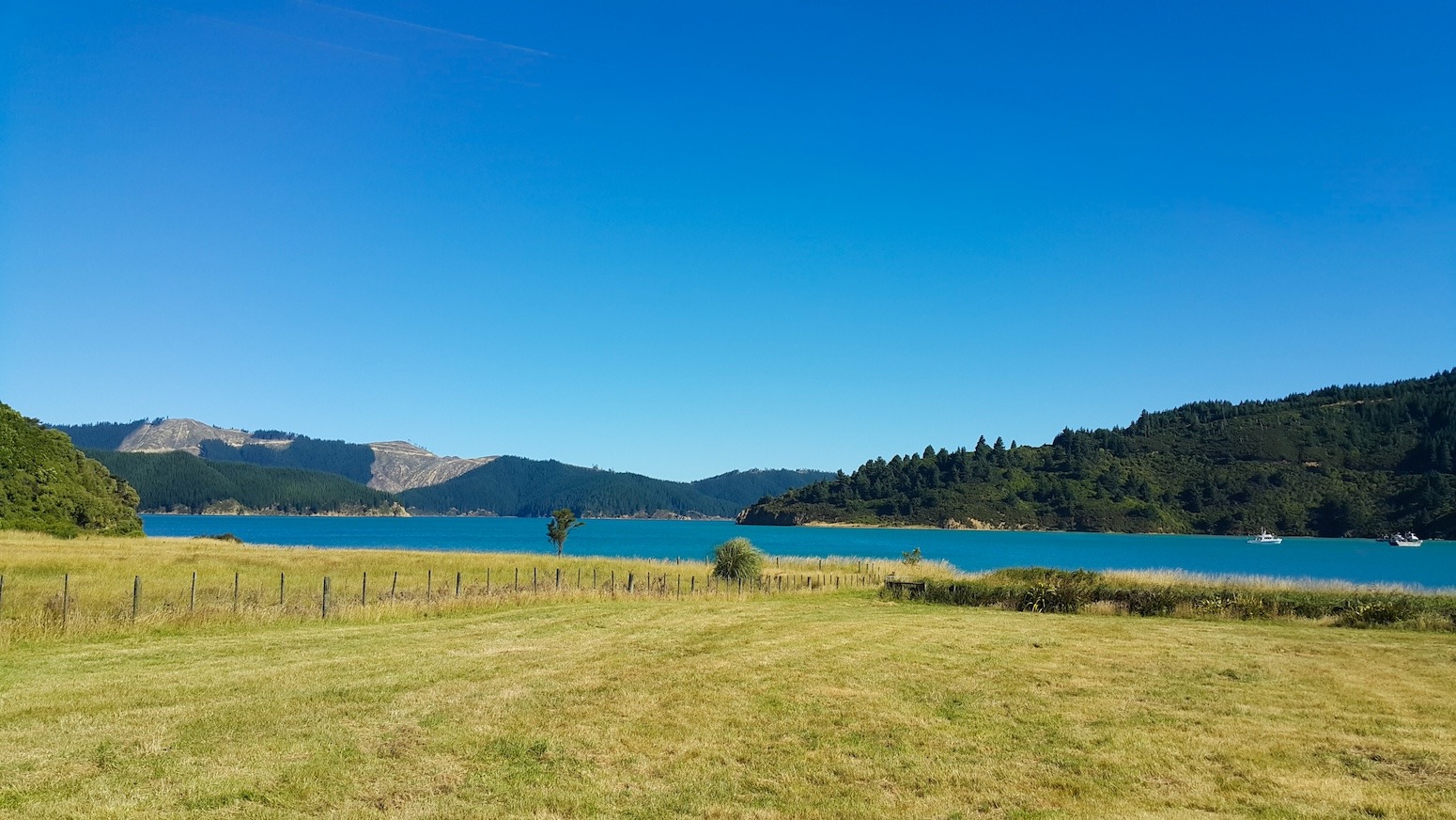 Marlborough Sounds Sailing - KiwiSailor